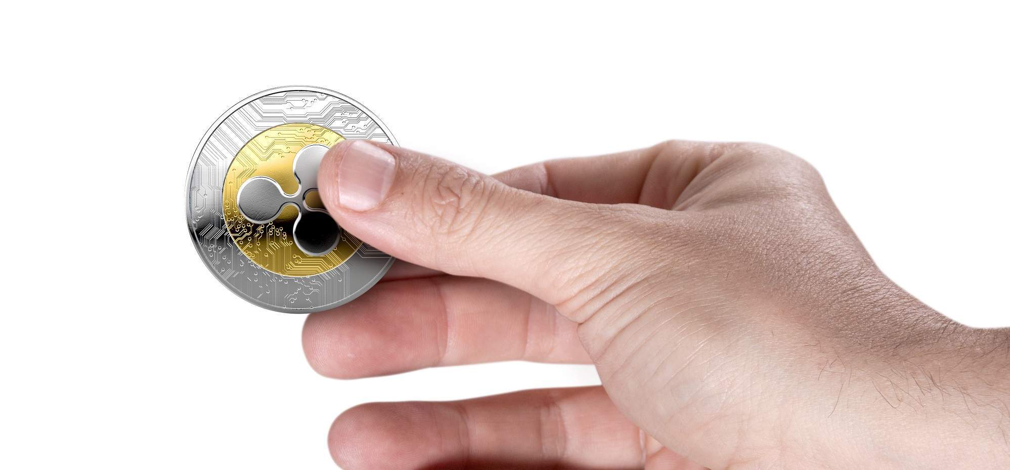 Infographic: eToro’s simple guide to Ripple - eToro