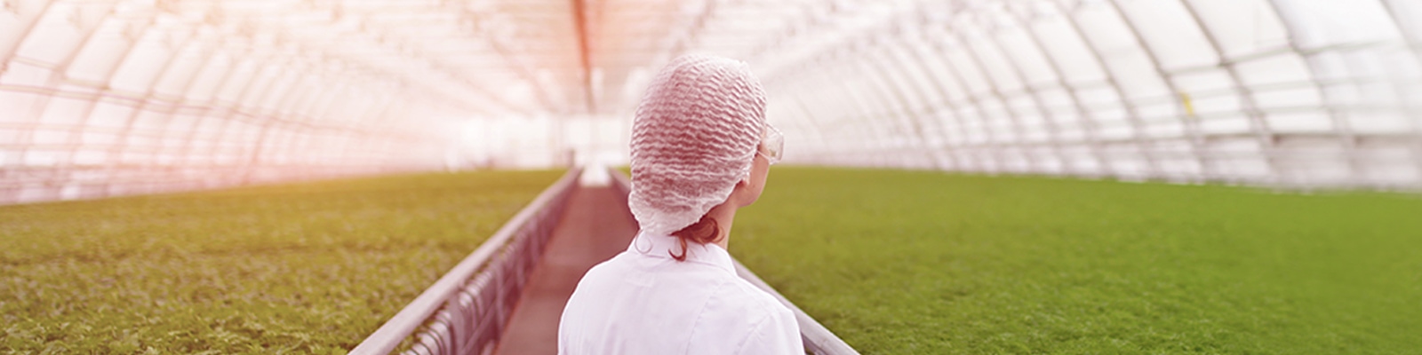 FoodTech Can Solve Problems From Most Basic Human Needs | eToro