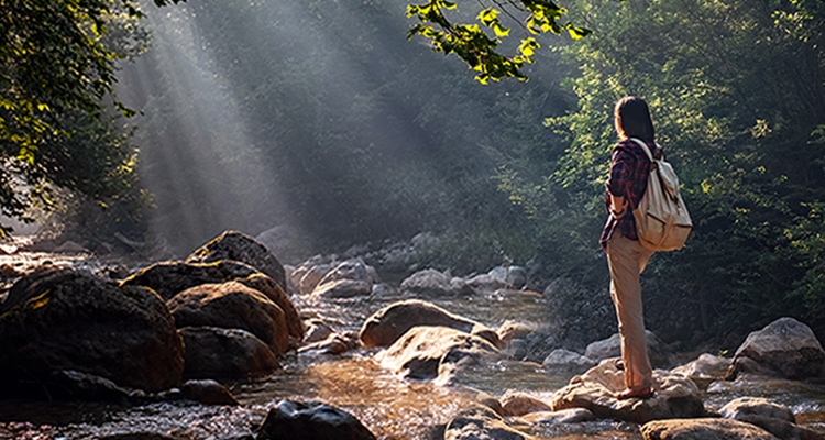 Meet Popular Investor Jennifer Kempson