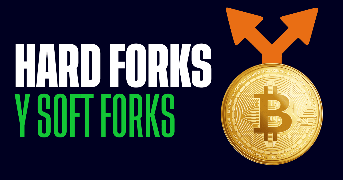 ¿Qué son las bifurcaciones (forks) en la blockchain? | eToro